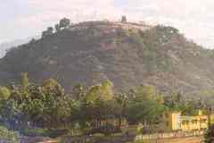 Gallery of Palani Temple Scenes - Arulmigu Dandāyudhapani Swāmi Temple ...