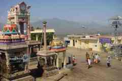 Gallery of Palani Temple Scenes - Arulmigu Dandāyudhapani Swāmi Temple ...