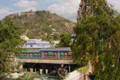 Gallery of Palani Temple Scenes - Arulmigu Dandāyudhapani Swāmi Temple ...