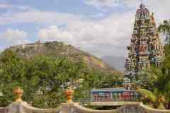 Gallery of Palani Temple Scenes - Arulmigu Dandāyudhapani Swāmi Temple ...